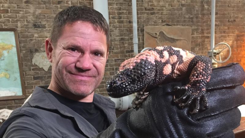 Deadly Dinosaurs - CBBC - BBC
