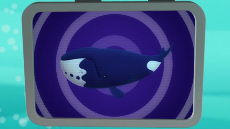 Octonauts Creature Reports - CBeebies - BBC