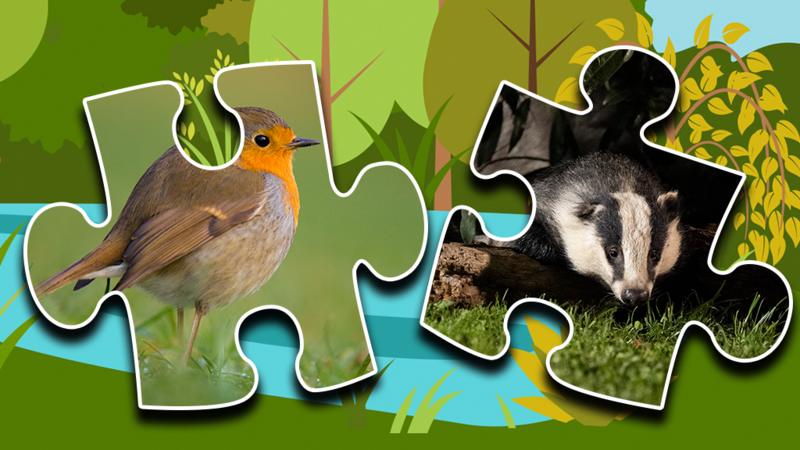 Jigsaw fun on CBeebies - CBeebies - BBC
