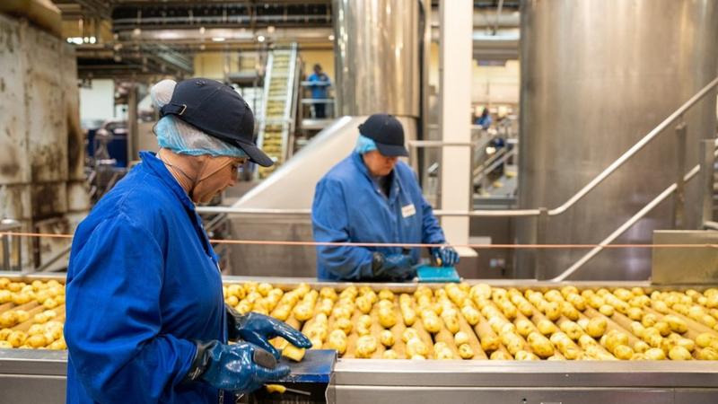 Jobs at risk at Walkers crisp factories as PepsiCo plans changes - BBC News