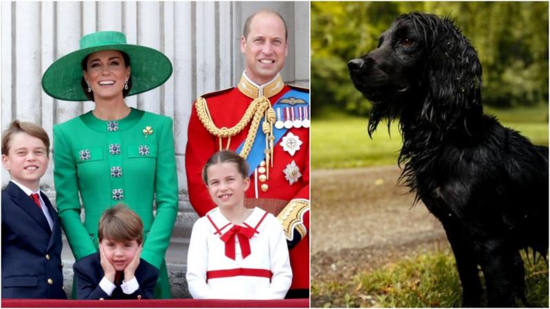 UK Royal Family: Royal pet dog Orla makes a rare appearance for ...