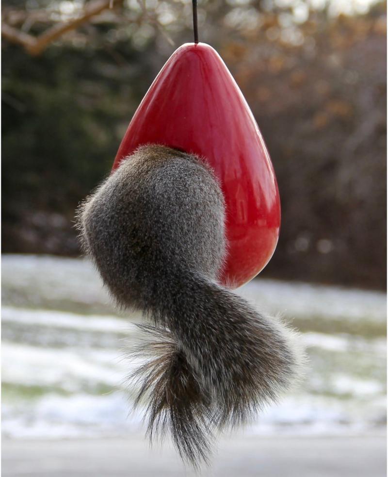 Your pictures on the theme of 'lunchtime' - BBC News