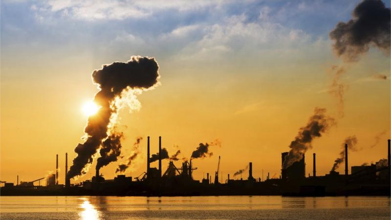 Scotland's climate change progress 'exemplary' - BBC News