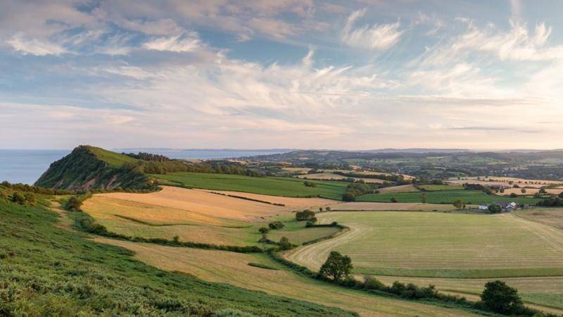Devon County Council - BBC News