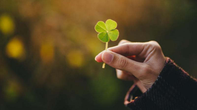 Guinness World Records for 63-leaf clover - BBC Newsround
