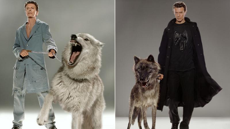 Unseen David Bowie photos go on display in Los Angeles - BBC News