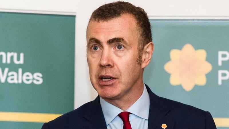 Plaid Cymru calls for Brexit reversal in European manifesto - BBC News