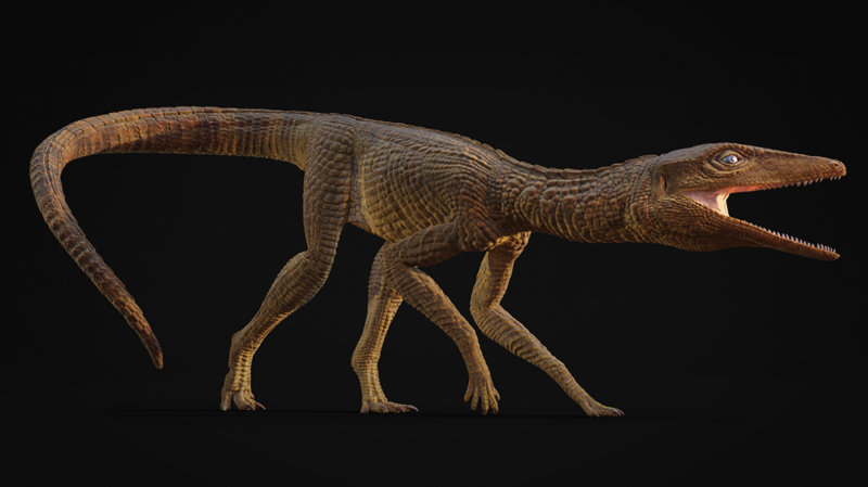 Ancient crocodile species named Jones after teacher from Cardigan - BBC ...