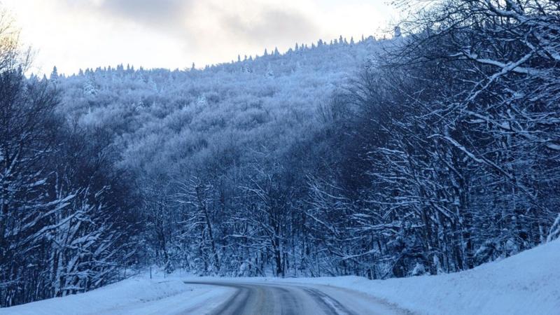 Blizzards and possible snow in southern states as cold grips North ...