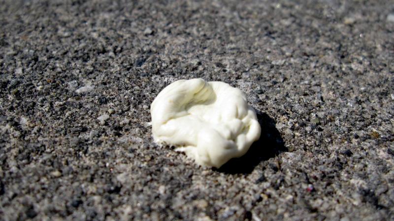 Bin workers across North Yorkshire to switch to four-day weeks - BBC News