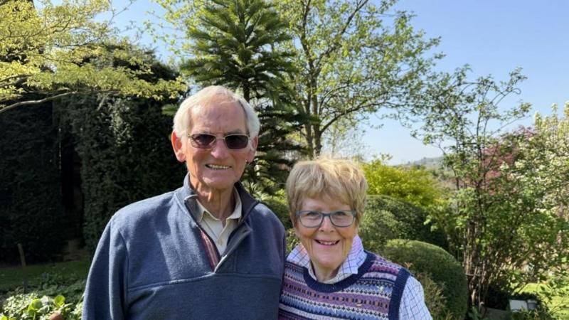 'Dinosaur tree' Wollemi pine in Worcestershire has first seeds - BBC News