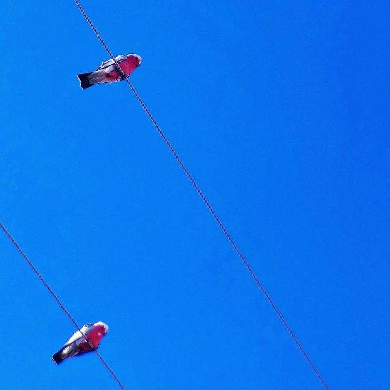 Your pictures on the theme of 'electric' - BBC News