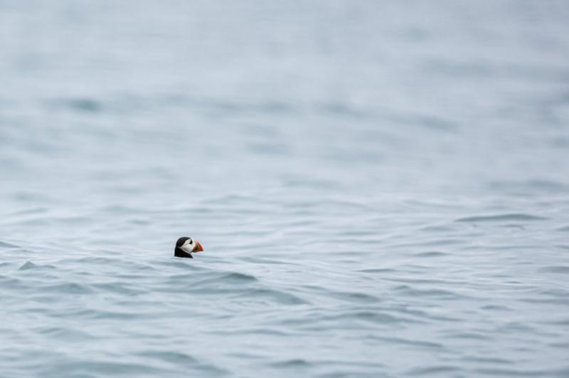 England's Big Picture: 5 - 11 August - BBC News