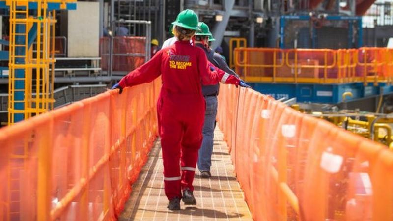 Shell Latest News & Analysis - BBC News