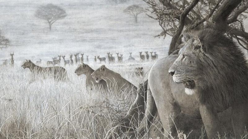 Biro artist Cy Baker's work aids conservation efforts - BBC News