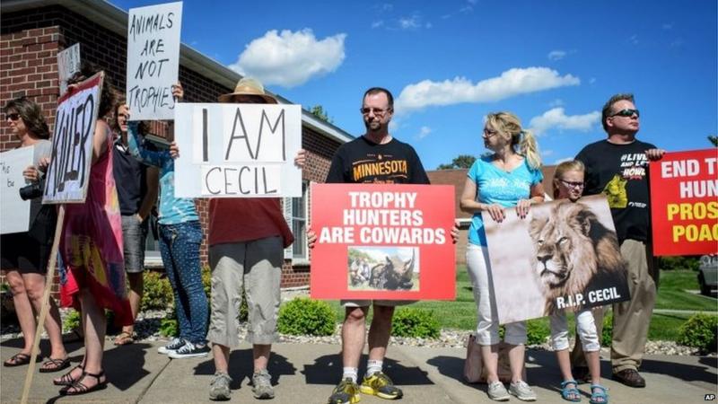 The big business of trophy hunting in Iran - BBC News