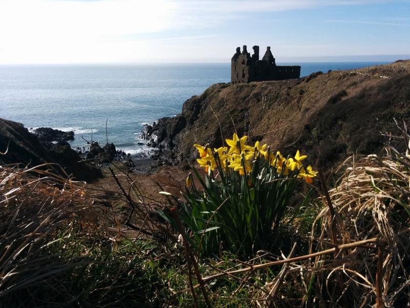Your pictures of Scotland: 9 to 16 March - BBC News