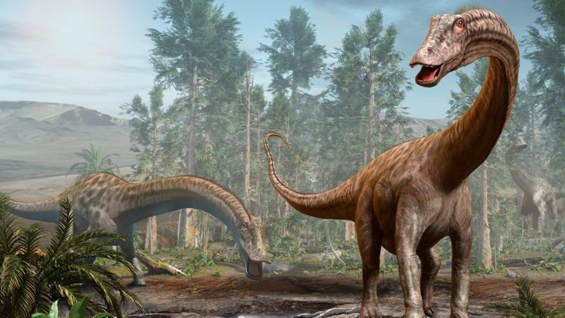 Supersaurus: Scientists discover world's ‘longest-ever’ dinosaur - BBC ...