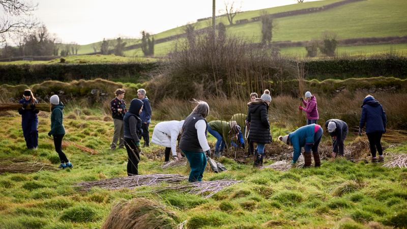 Spring starts but signs and science of seasons change - BBC News