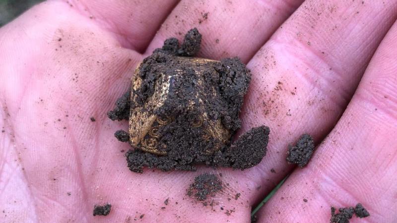 Suffolk detectorist finds Anglo-Saxon gold pyramid mount - BBC News