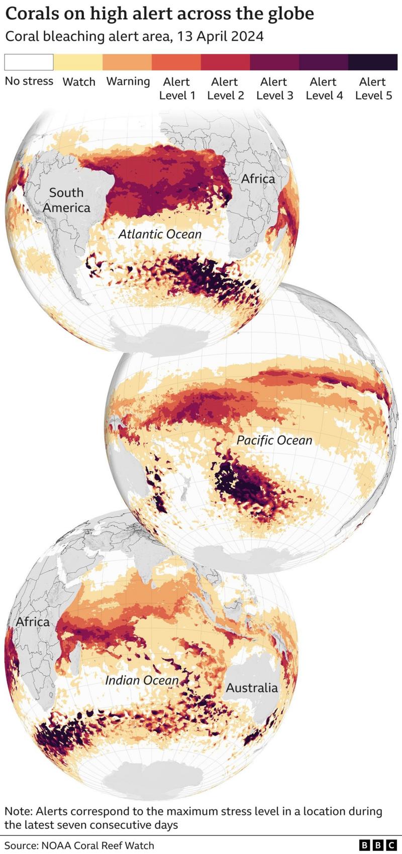Coral bleaching: Fourth global mass stress episode underway - US ...