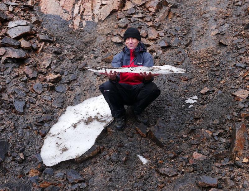 Scotland 'snow-free' as Sphinx patch melts again - BBC News