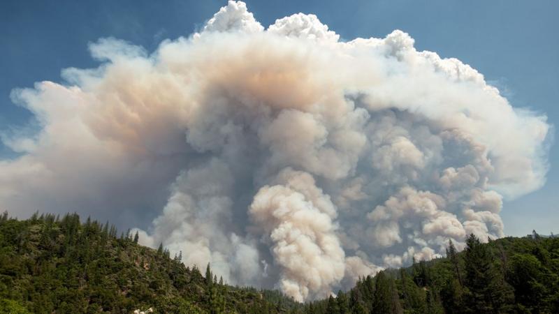Australia fires: How extreme 'firestorms' make their own weather - BBC News