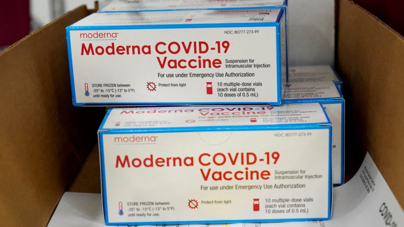 Moderna - BBC News