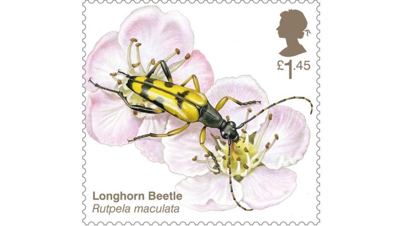 New Royal Mail stamps to celebrate UK's brilliant bugs - BBC Newsround