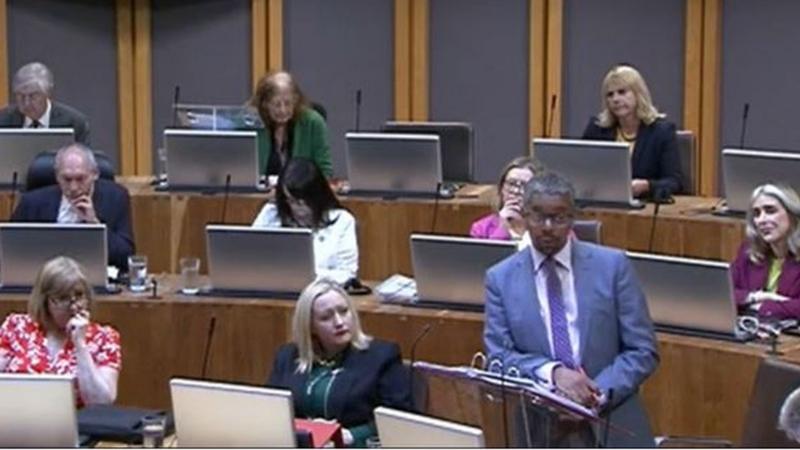 Heledd Fychan - BBC News