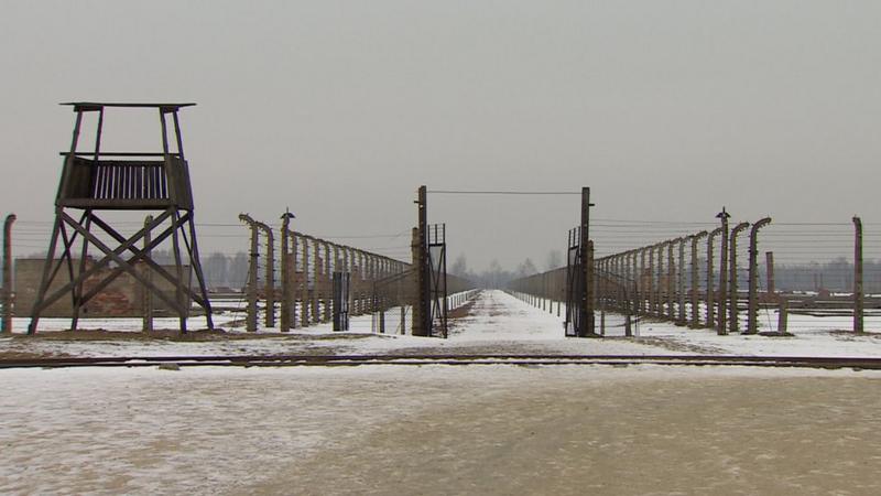 Auschwitz death camp: Poland puts database of prison guards online ...