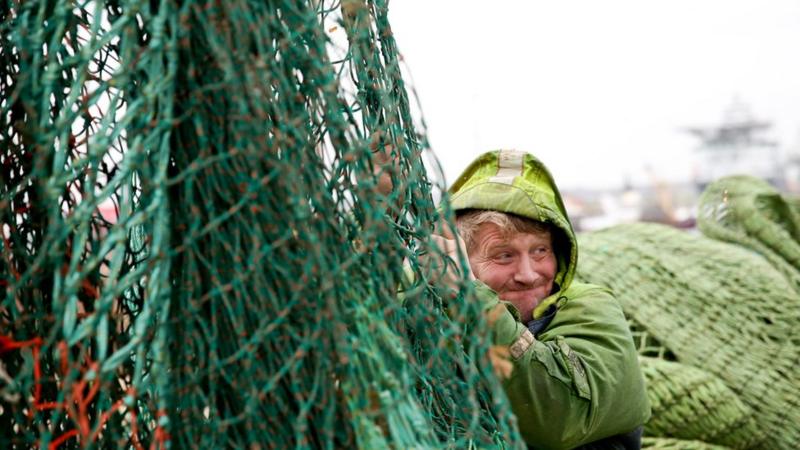 North Sea cod stocks fall to 'critical' level says Ices report - BBC News