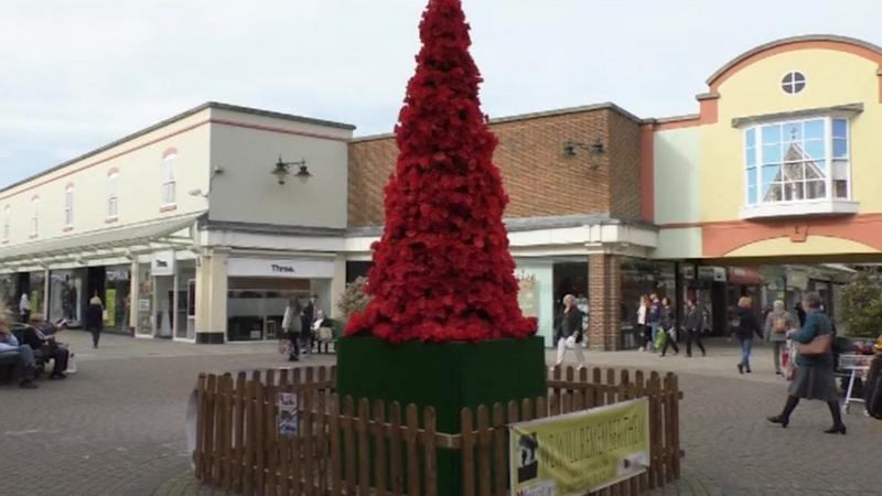 Salisbury poppy 'Christmas tree' sparks fierce online debate - BBC News
