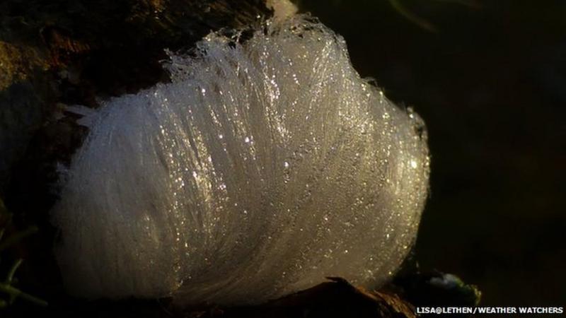 Rare hair ice spotted in Highlands - BBC Weather