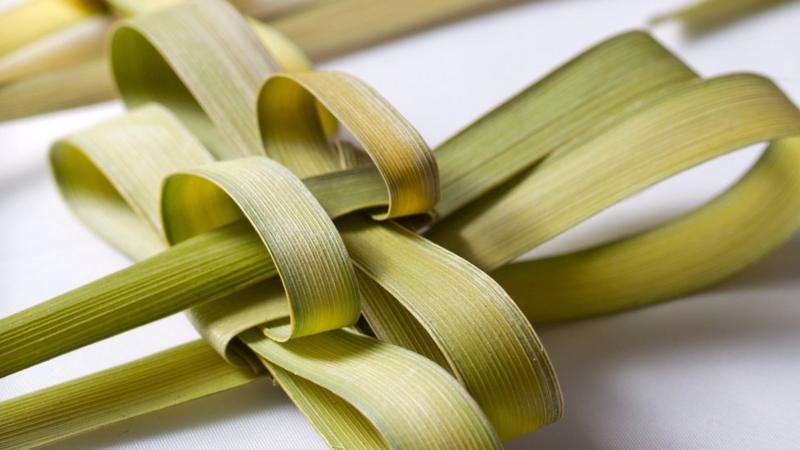 What is Palm Sunday? - BBC Newsround