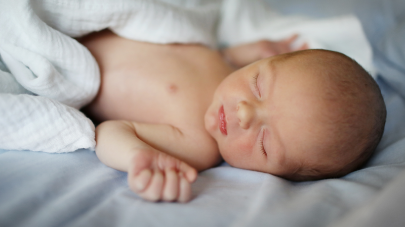 Pregnancy - BBC News