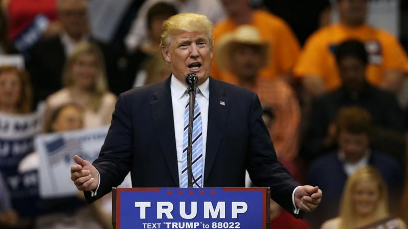 Toronto 'guerrilla' archivists to help preserve US climate data - BBC News