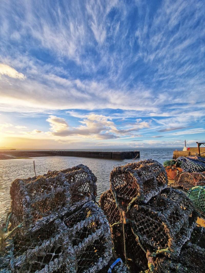 Your pictures of Scotland: 7 - 14 October - BBC News