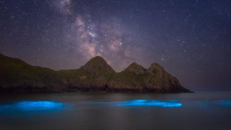 Incredible sea sparkle pictures in Swansea - BBC Newsround