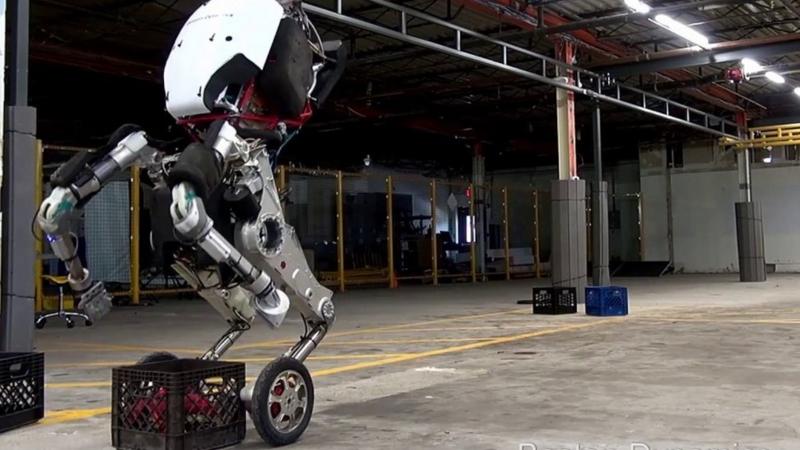 Ted 2017: Scary robots that want to be useful - BBC News