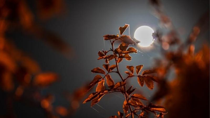 Rare 'blue moon' to enchant Halloween stargazers - BBC News