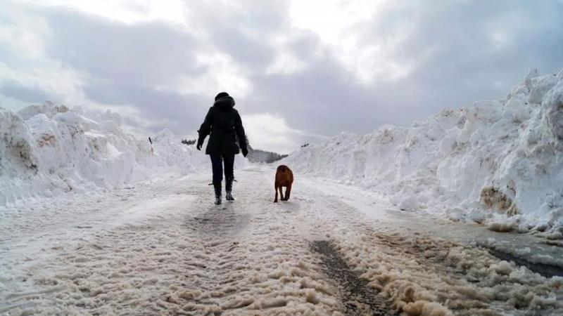 Weather: Recalling Northern Ireland's big freeze of 2010 - BBC News