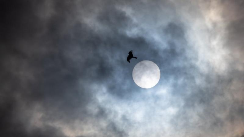 Your pictures of Scotland: 6 July-13 July - BBC News