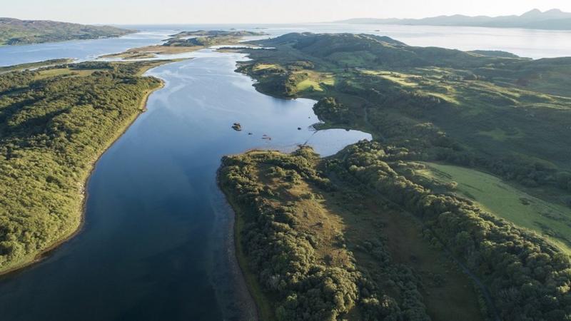 Scottish Wildlife Trust buys Inverbroom Estate near Ullapool - BBC News