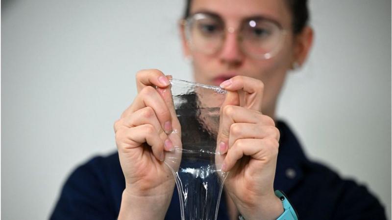 Notpla: UK plastic-alternative developer among £1m Earthshot Prize ...