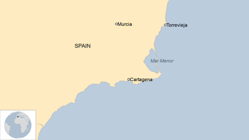 Mar Menor: Tonnes of dead fish wash up on Spanish lagoon's shores - BBC ...