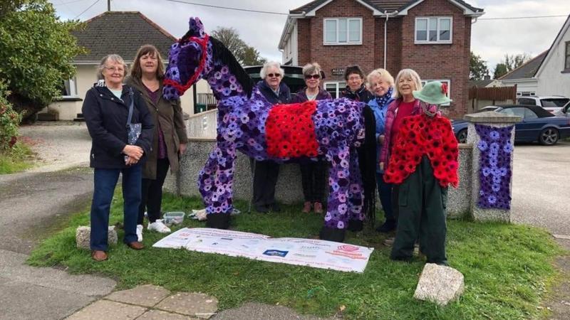 Thousands of poppies crocheted in Cornwall WW1 tribute - BBC News