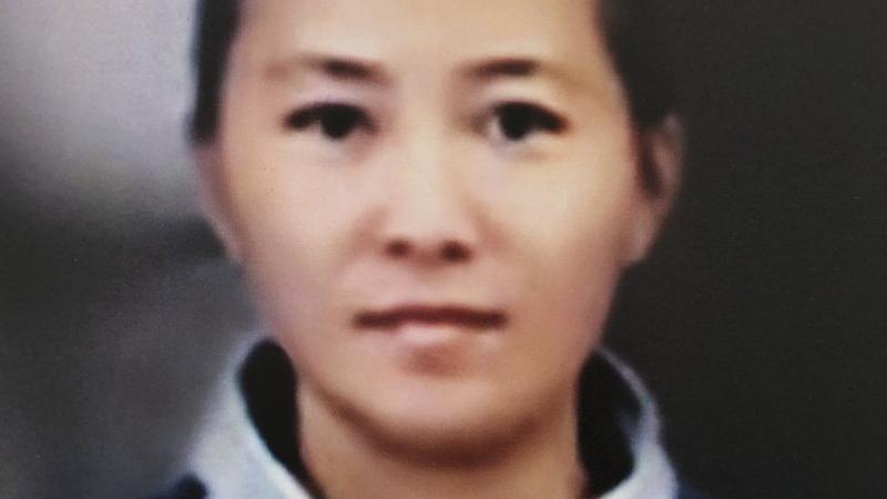 North Korean defectors: What happens when they get to the South? - BBC News