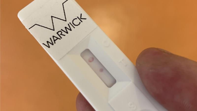 David Gregory-Kumar - BBC News