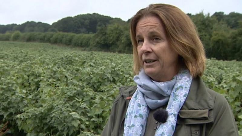 David Gregory-Kumar - BBC News